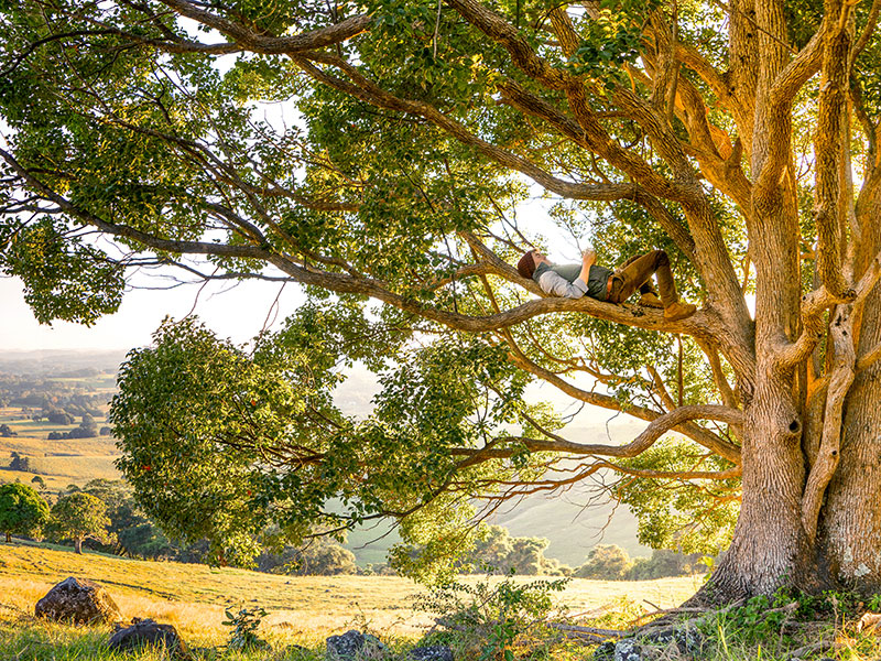 articles/expert-opinions/2018-12-20-three-key-principles-building ...